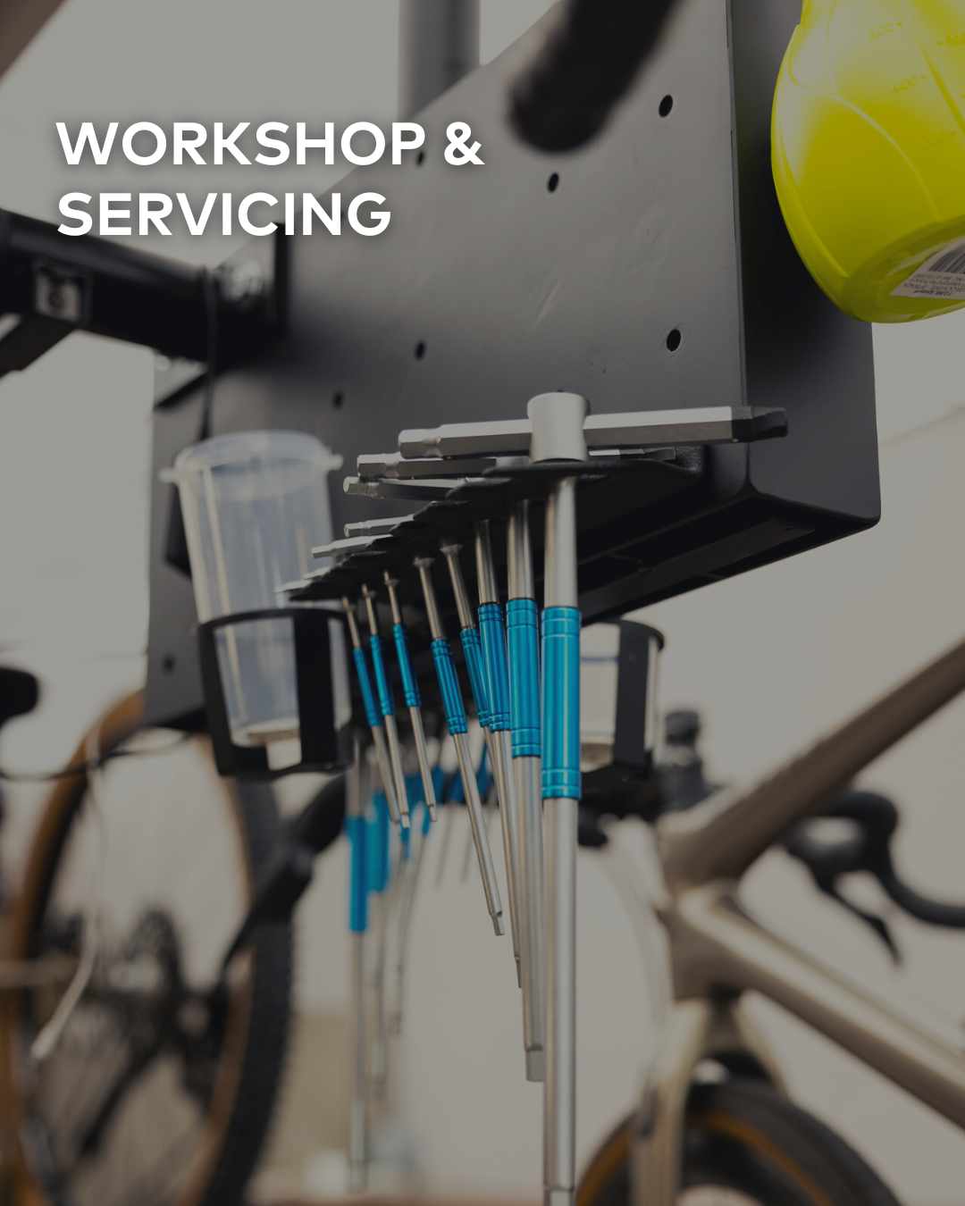 EDGE Cycling